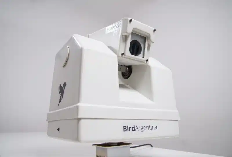 ¿Por qué elegir Bird Argentina frente a métodos tradicionales? - Bird ...